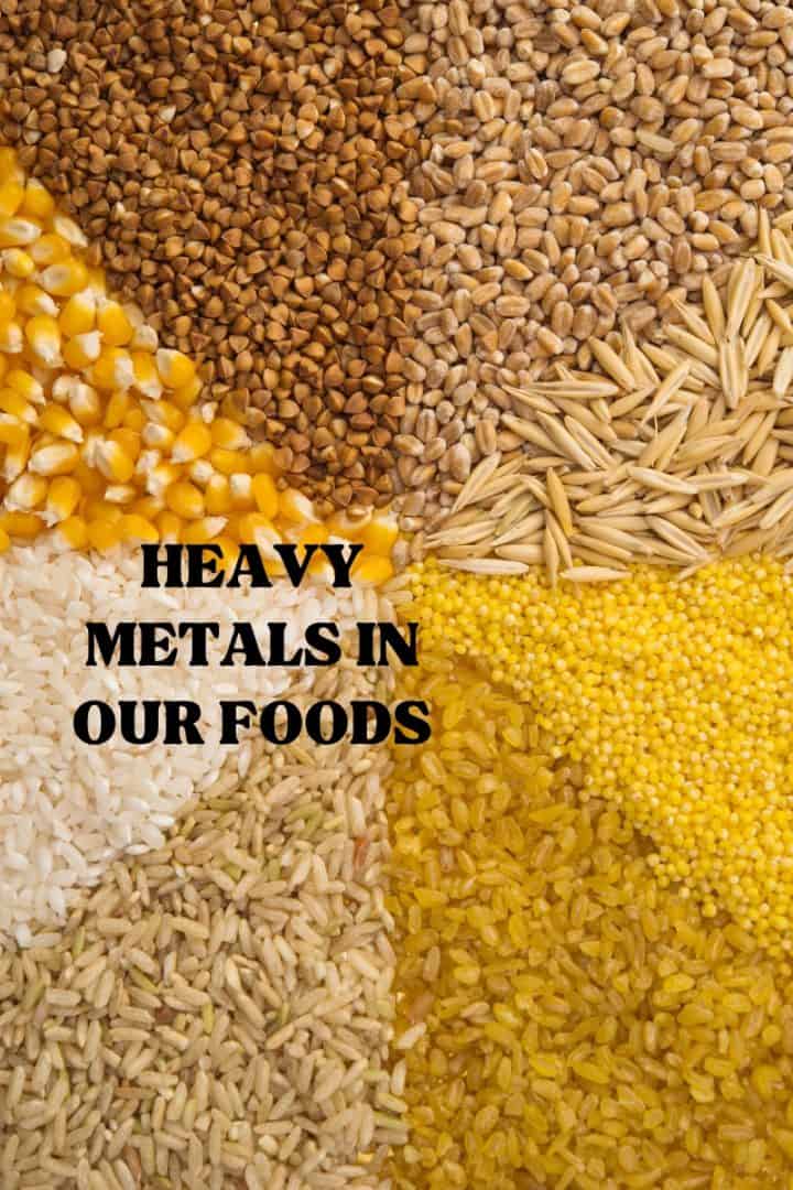 Heavy Metals in Our Food: A Hidden Cost of Nutritional Choices - FOODHEAL